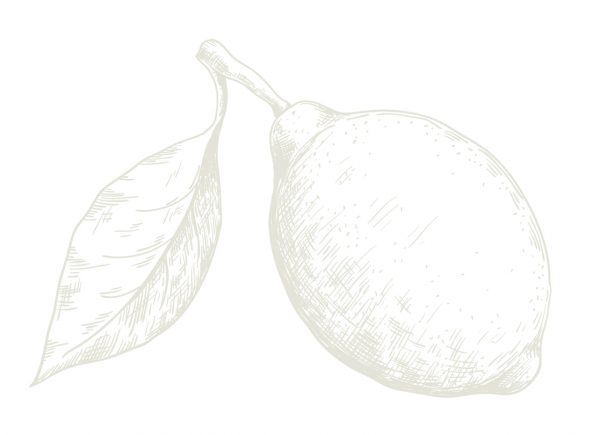 FAQ - Parched - Handcrafted Cocktail Garnishes